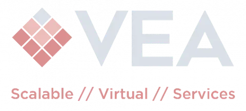 Virtual Executive Assistant Services // VEA Office Professionals